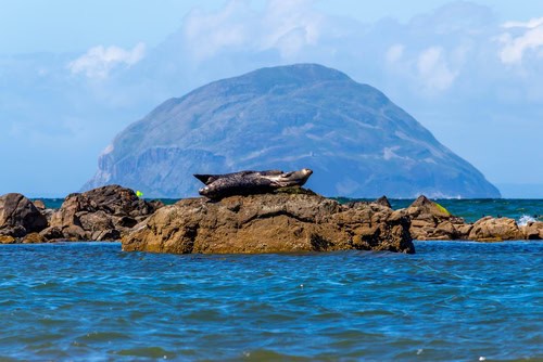 Ailsa Craig - XploreScotland